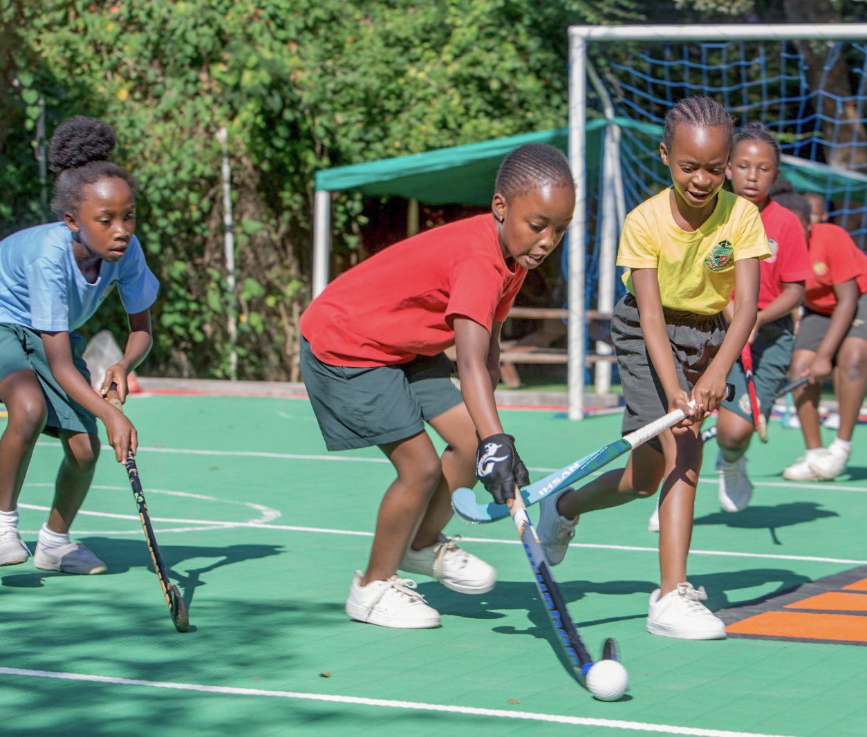 Nattie Junior Borrowdale – Nattie