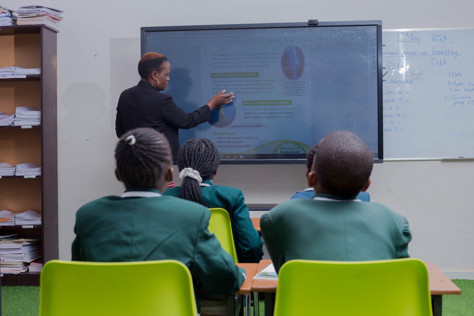 Nattie Junior Borrowdale – Nattie